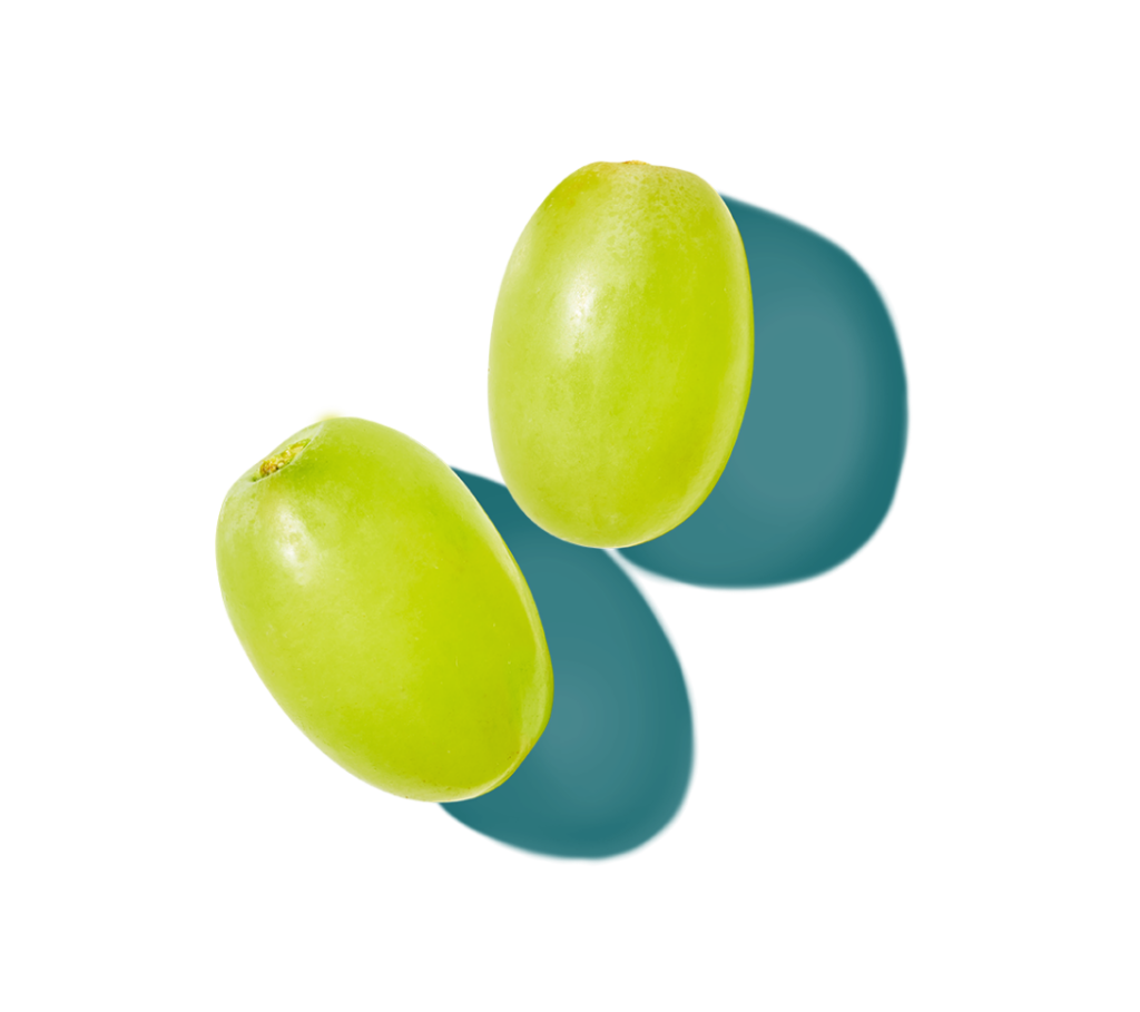 Home - Fowler Packing