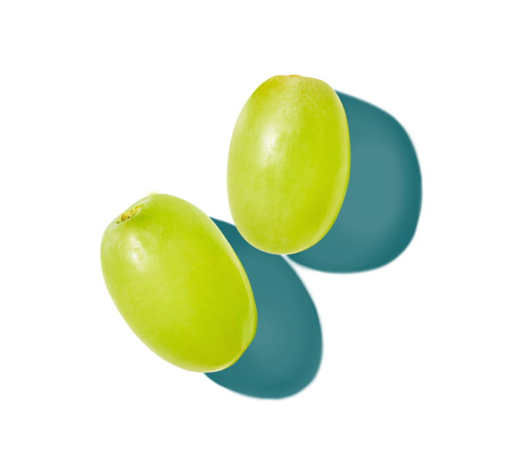 Home - Fowler Packing