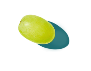 Home - Fowler Packing