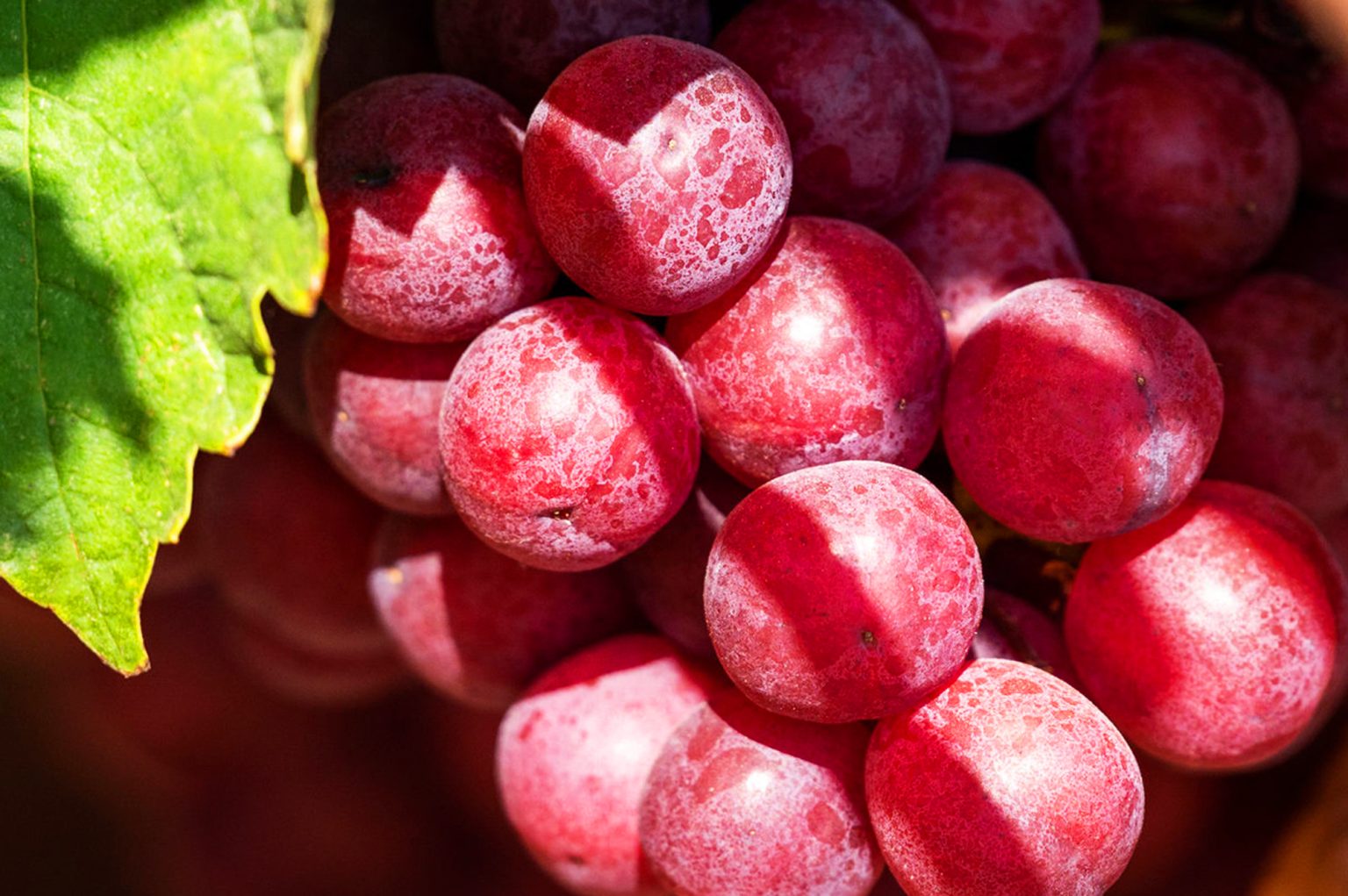 Our Story - Fowler Packing