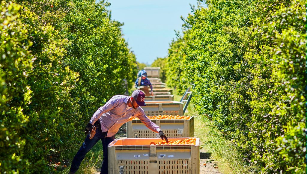 Our Commitment - Fowler Packing